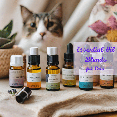 The Ultimate Guide to Using Essential Oils in Horses - Healing Energy ...