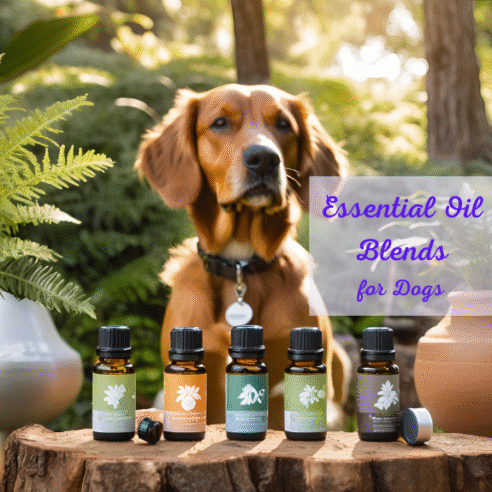 The Ultimate Guide to Using Essential Oils in Horses - Healing Energy ...