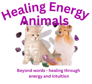 The 7 Chakras in Dogs & Their Meanings - Healing Energy Animals